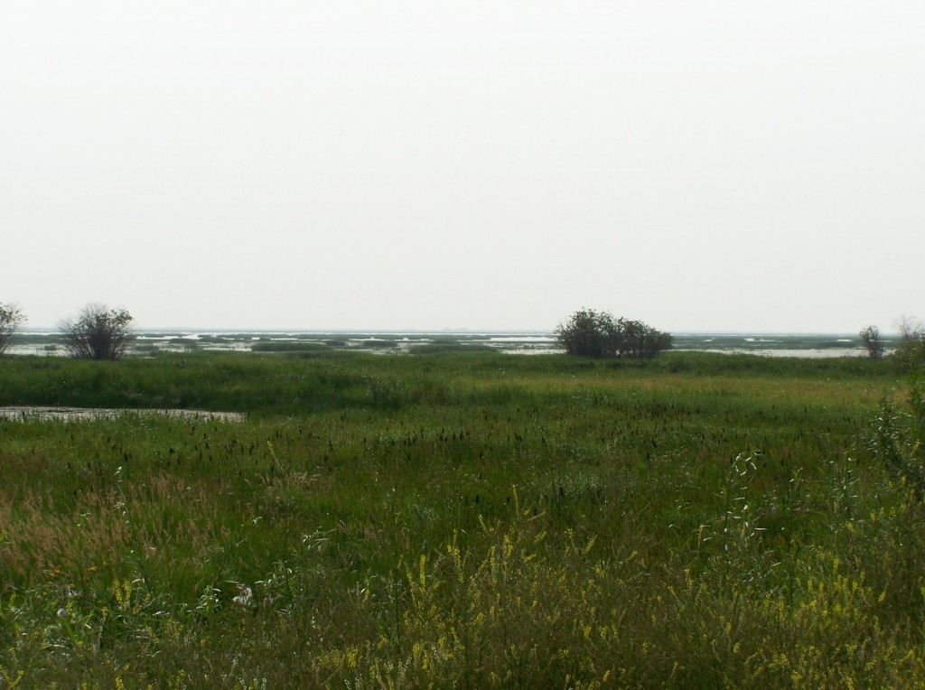 Flow North Paddling Company » Trip Details